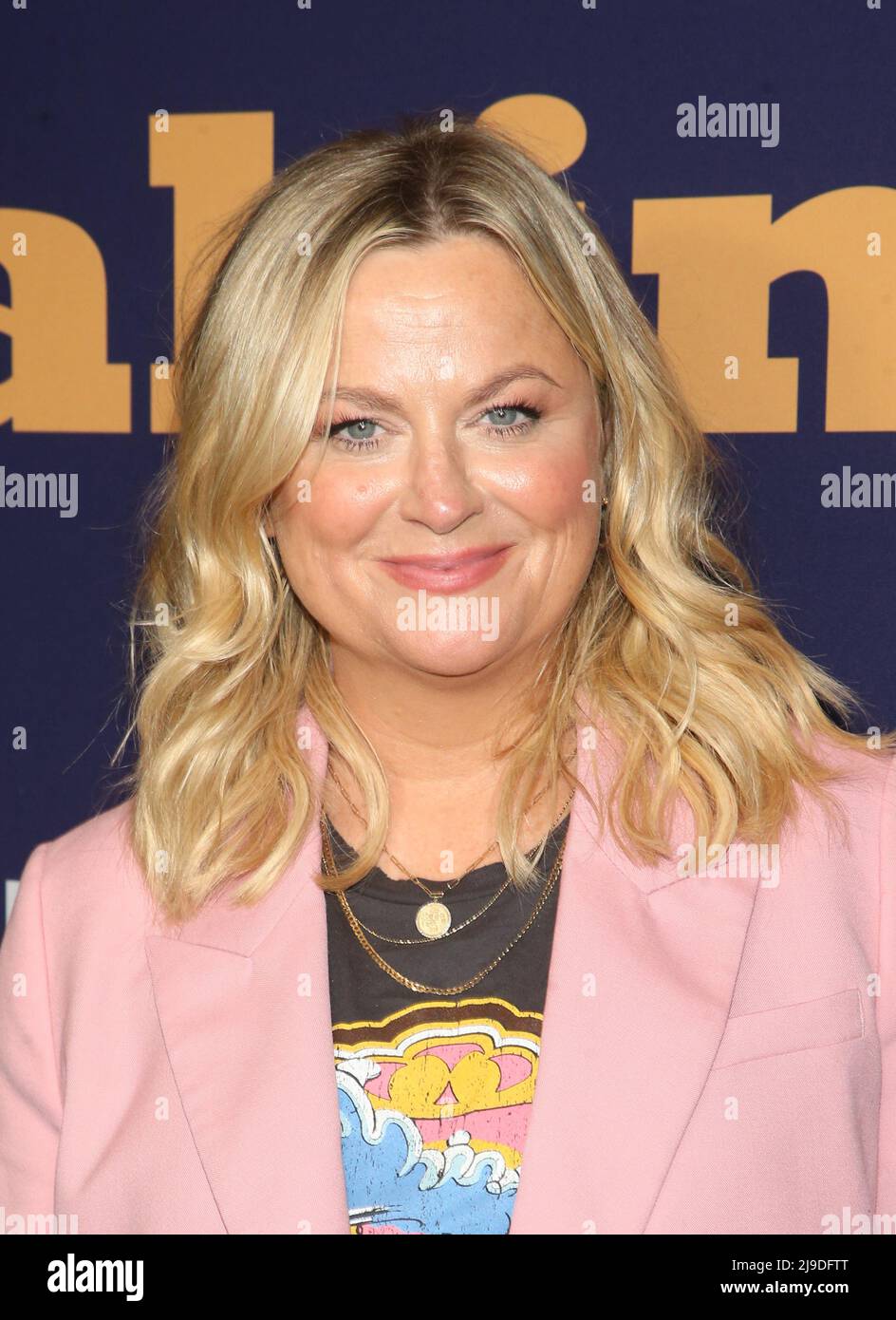 22 May 2022 - Hollywood, California - Amy Poehler. the Baking It/Making ...