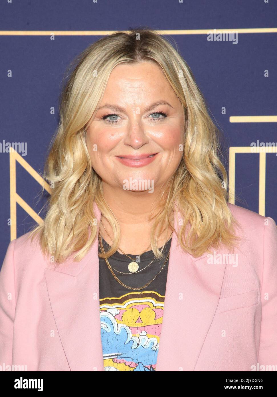 22 May 2022 - Hollywood, California - Amy Poehler. the Baking It/Making ...