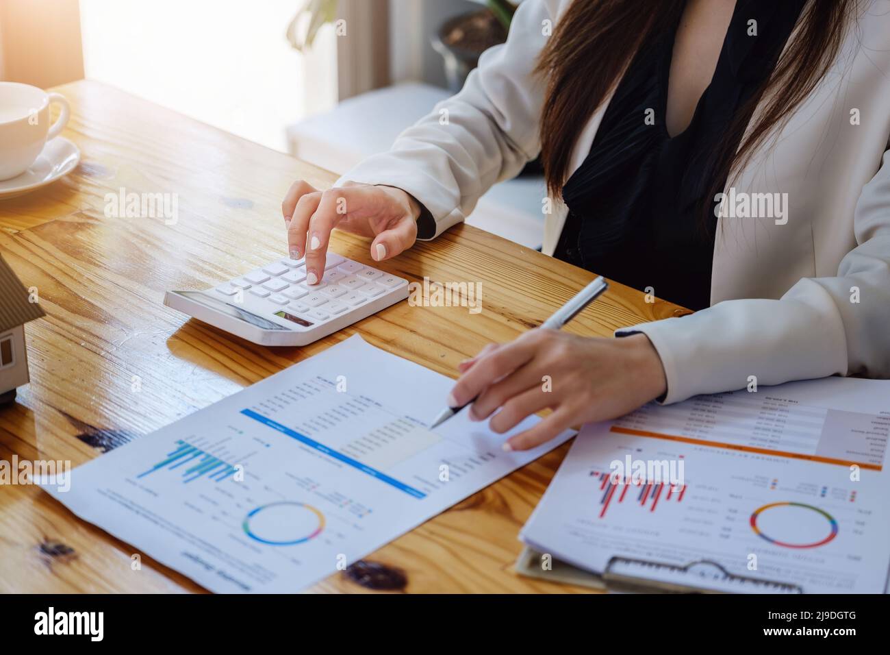 financial, Planning, Marketing and Accounting, portrait of Asian woman ...