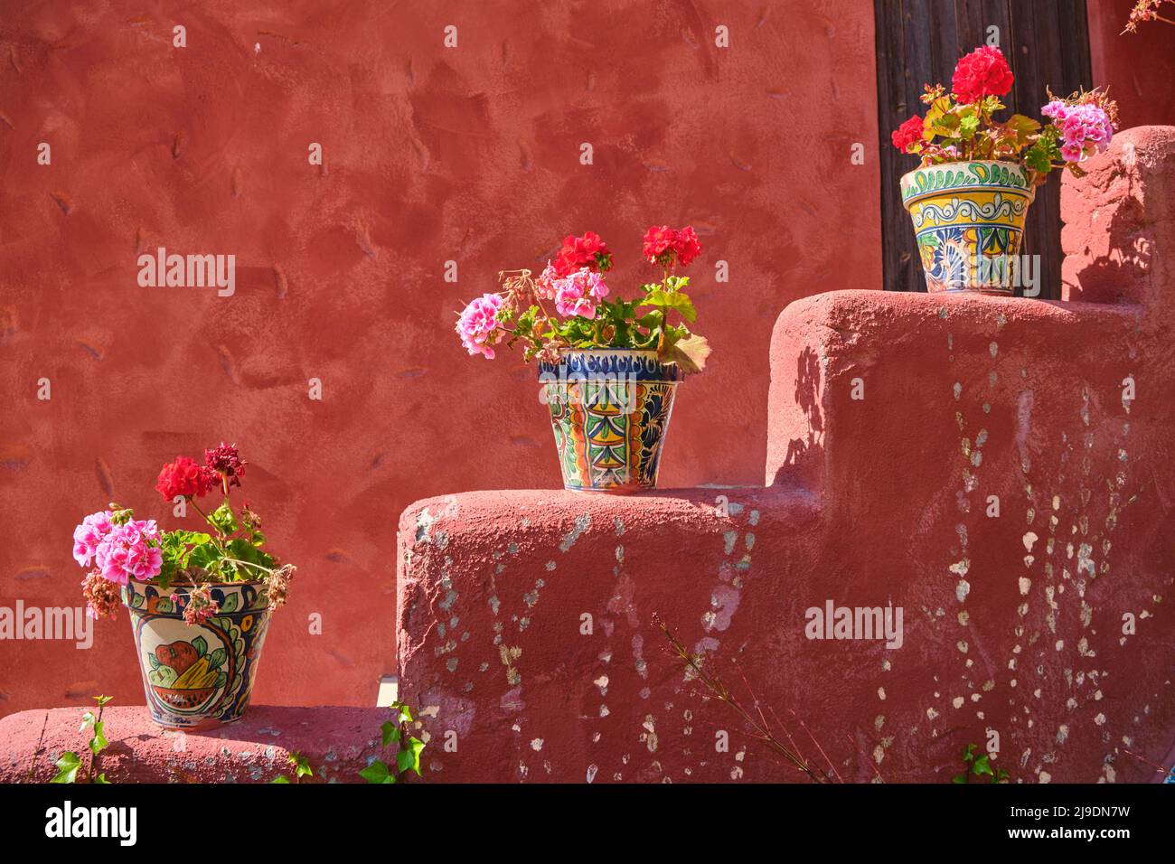 Beautiful vases decorated in a Mexican style, with flowers in the hot ...