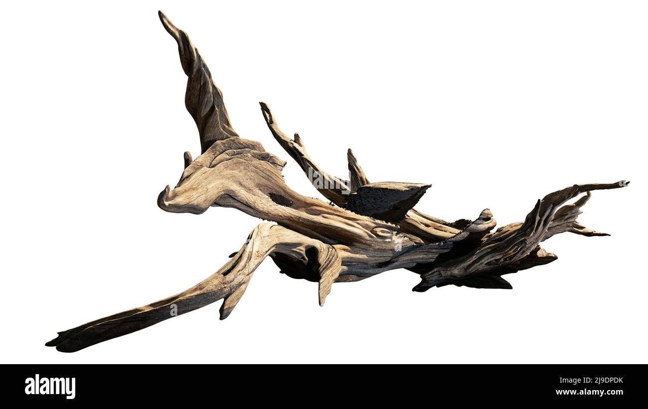 Tree branches on wooden Cut Out Stock Images & Pictures - Alamy