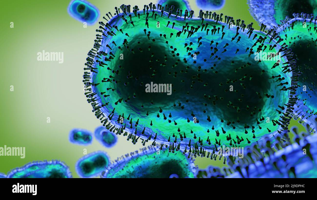 Monkeypox virus, one of the human orthopoxviruses, pathogen closeup ...