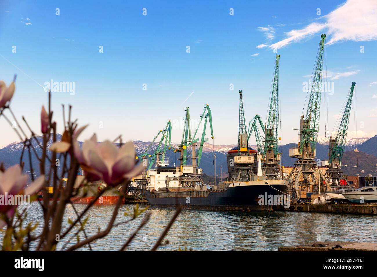 Batumi Sea Port, Black Sea coast, Georgia Stock Photo - Alamy