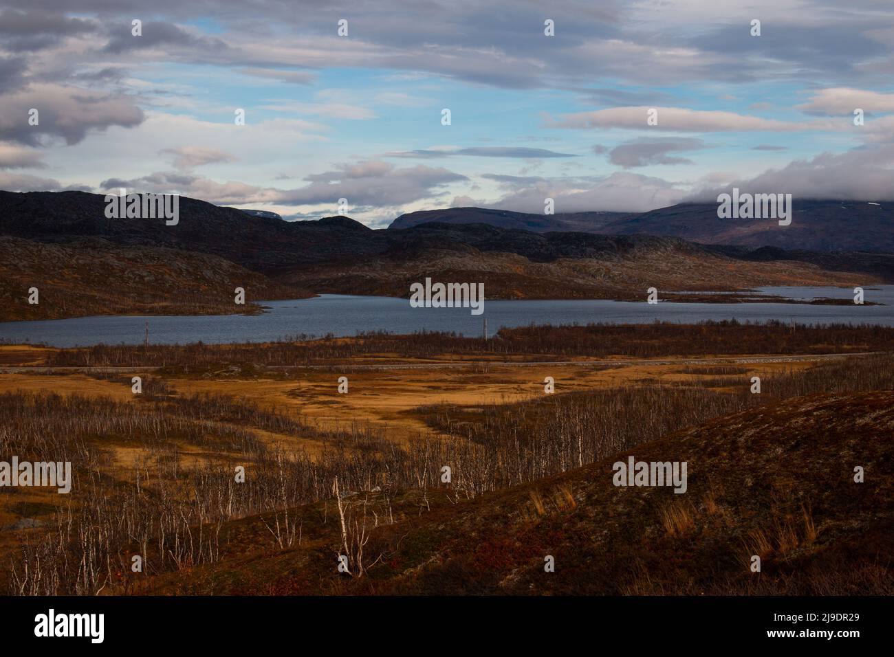 A road toward Riksgransen in early October, Lapland, Sweden Stock Photo ...