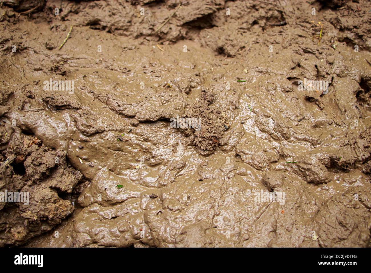 Mud puddle texture hi-res stock photography and images - Alamy