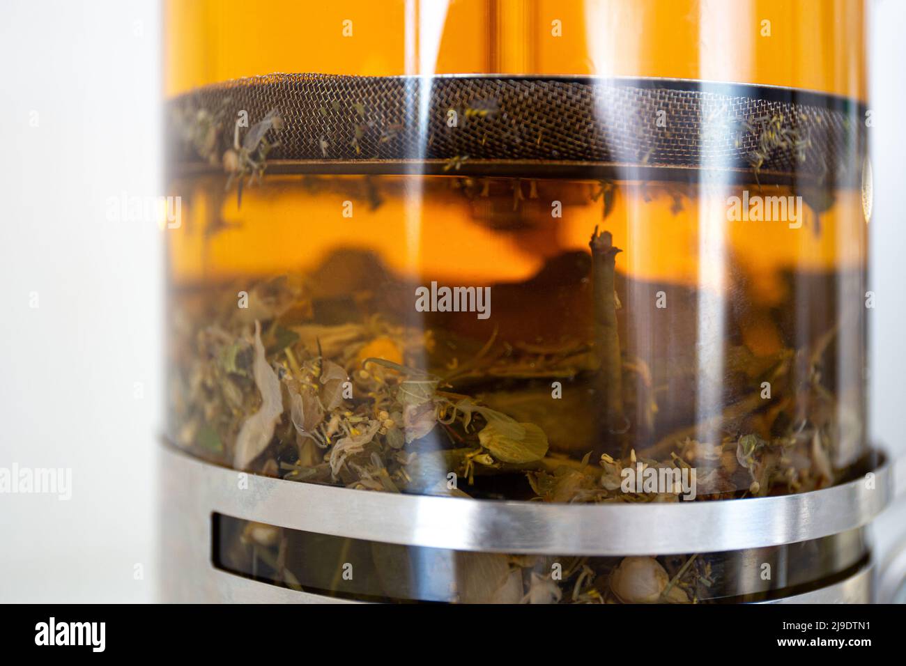 Closeup hot tea brewing in a french press glass teapot. Closeup brewed ...