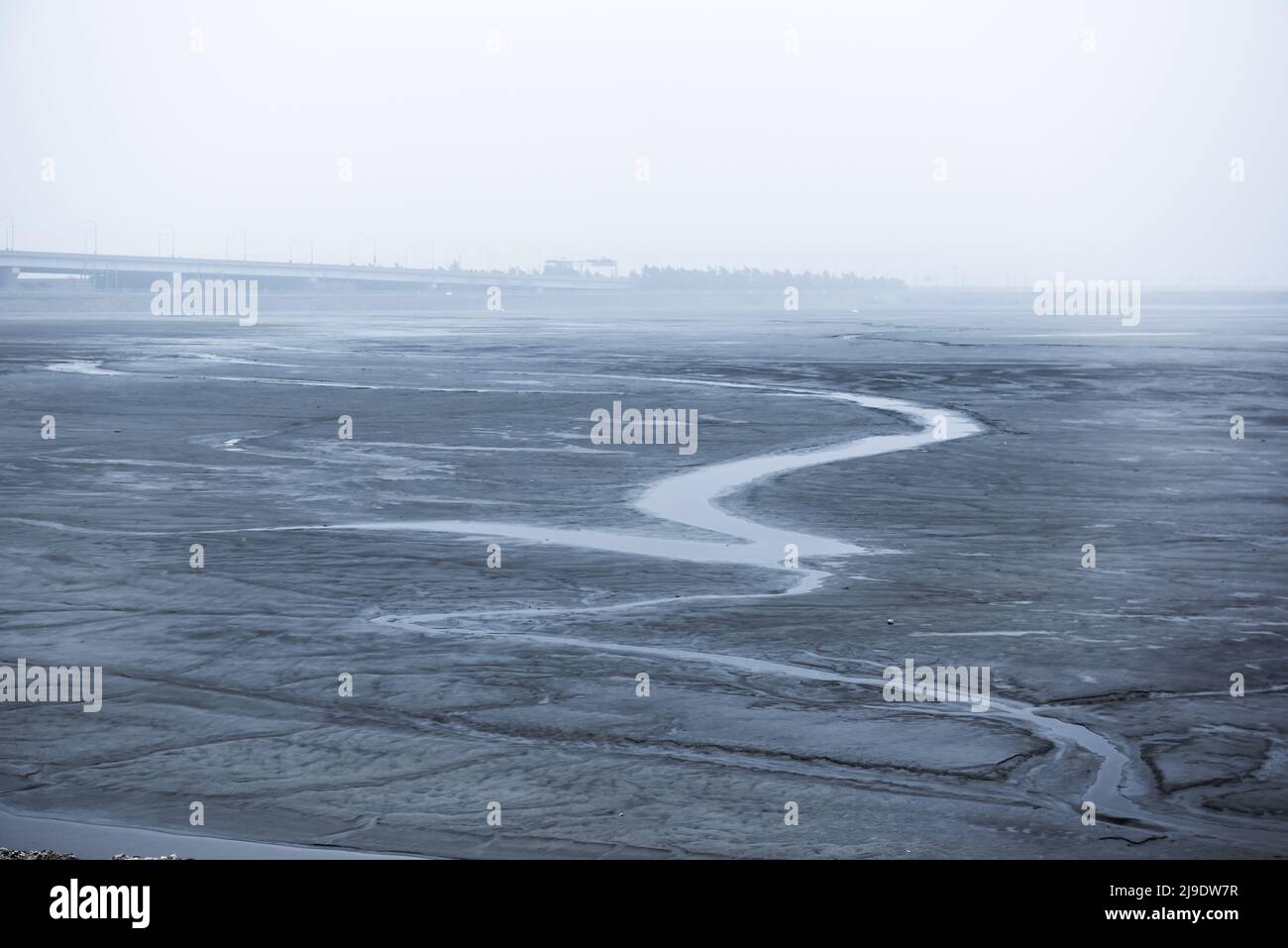 The beautiful and curious tidal mud flat Stock Photo - Alamy