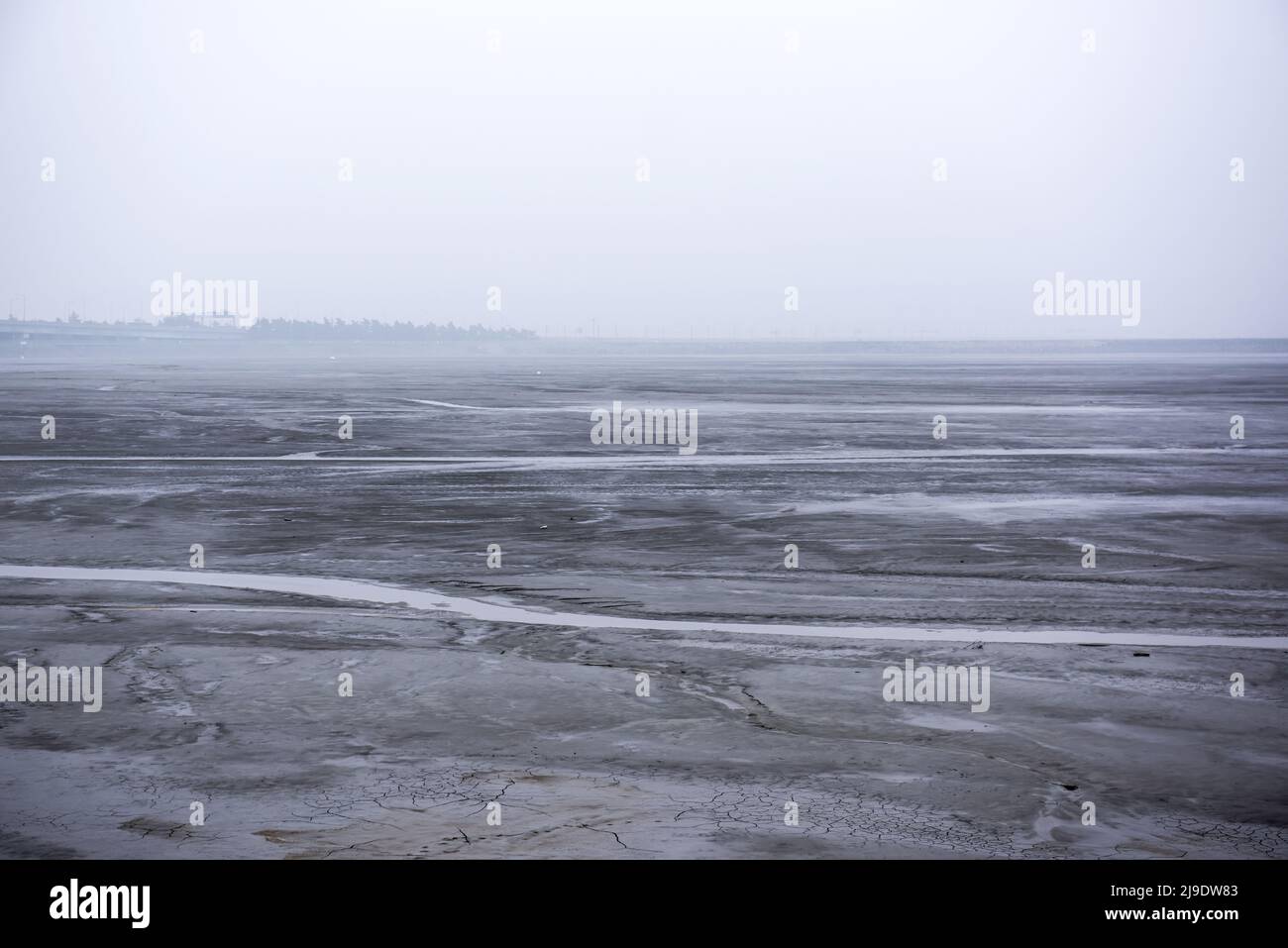 The beautiful and curious tidal mud flat Stock Photo - Alamy