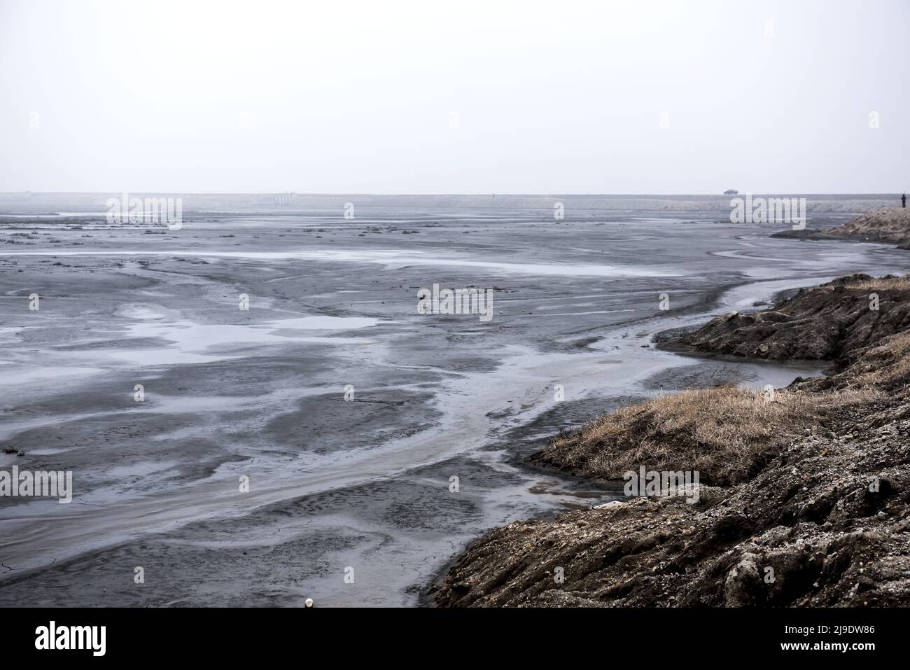 The beautiful and curious tidal mud flat Stock Photo - Alamy