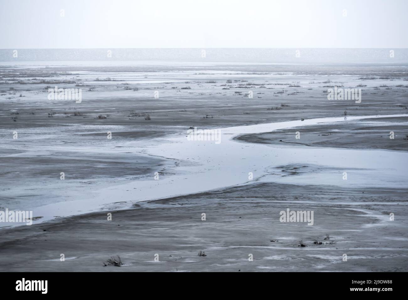 The beautiful and curious tidal mud flat Stock Photo - Alamy