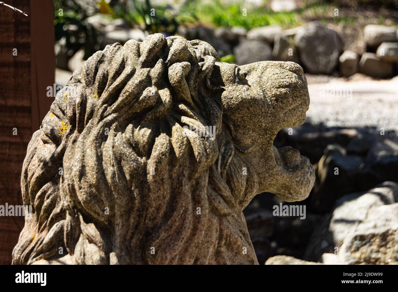 A concrete lions head sculpture in afternoon sun Stock Photo - Alamy