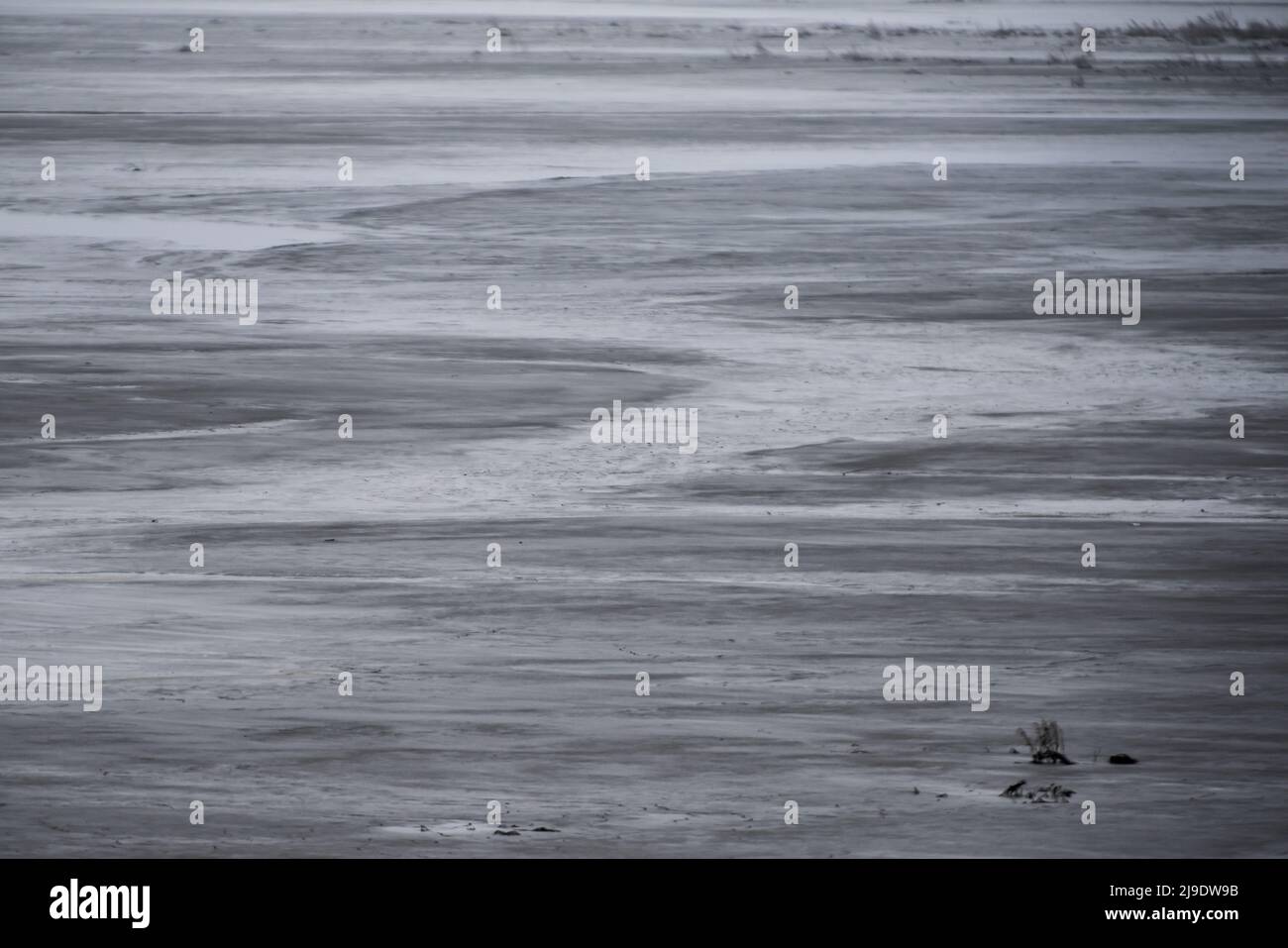 The beautiful and curious tidal mud flat Stock Photo - Alamy