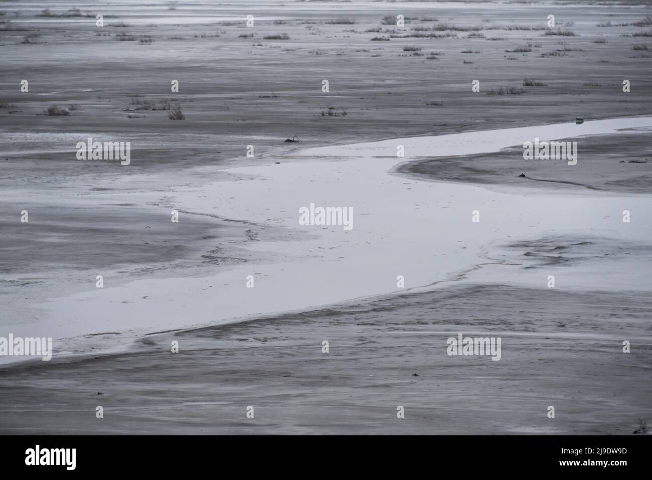 The beautiful and curious tidal mud flat Stock Photo - Alamy