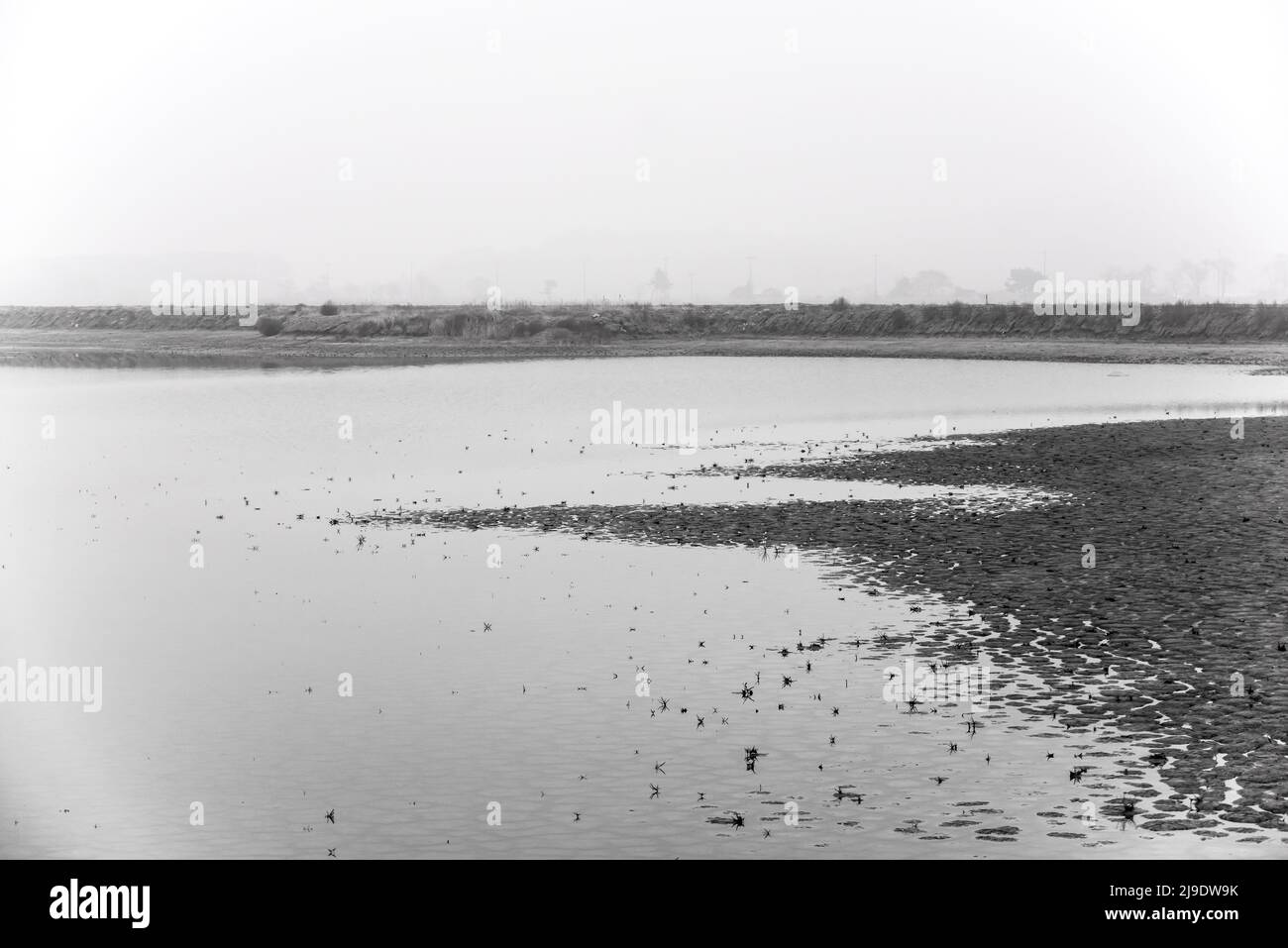 The beautiful and curious tidal mud flat Stock Photo - Alamy