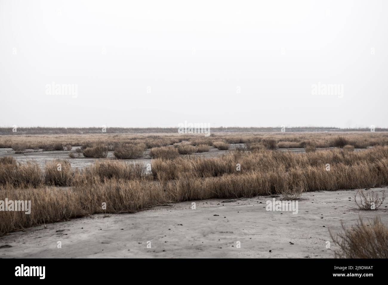 The beautiful and curious tidal mud flat Stock Photo - Alamy