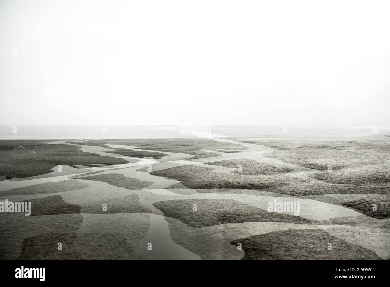 The beautiful and curious tidal mud flat Stock Photo - Alamy