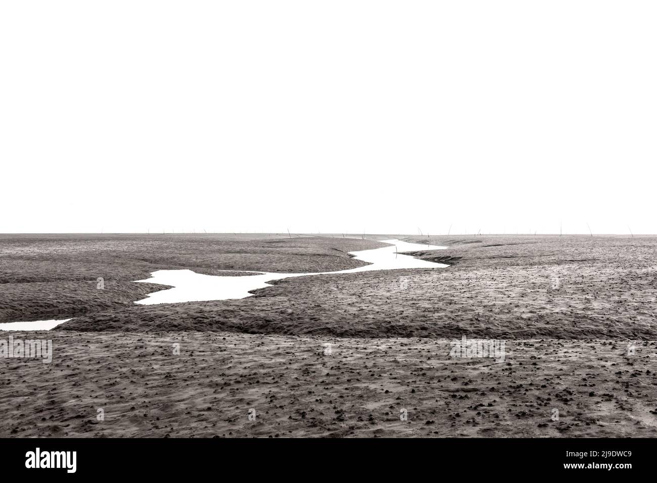 The beautiful and curious tidal mud flat Stock Photo - Alamy