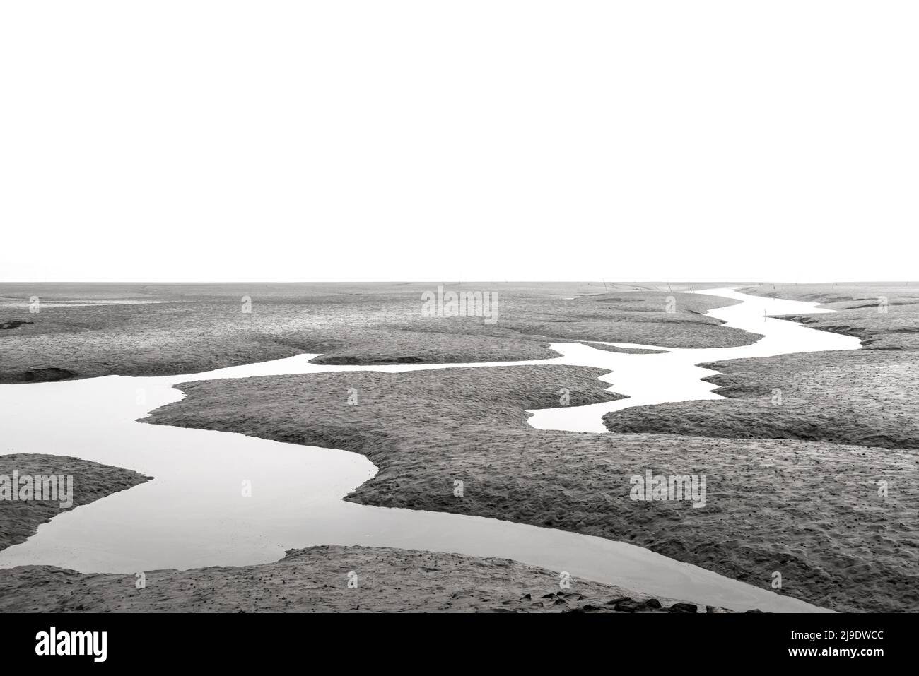 The beautiful and curious tidal mud flat Stock Photo - Alamy