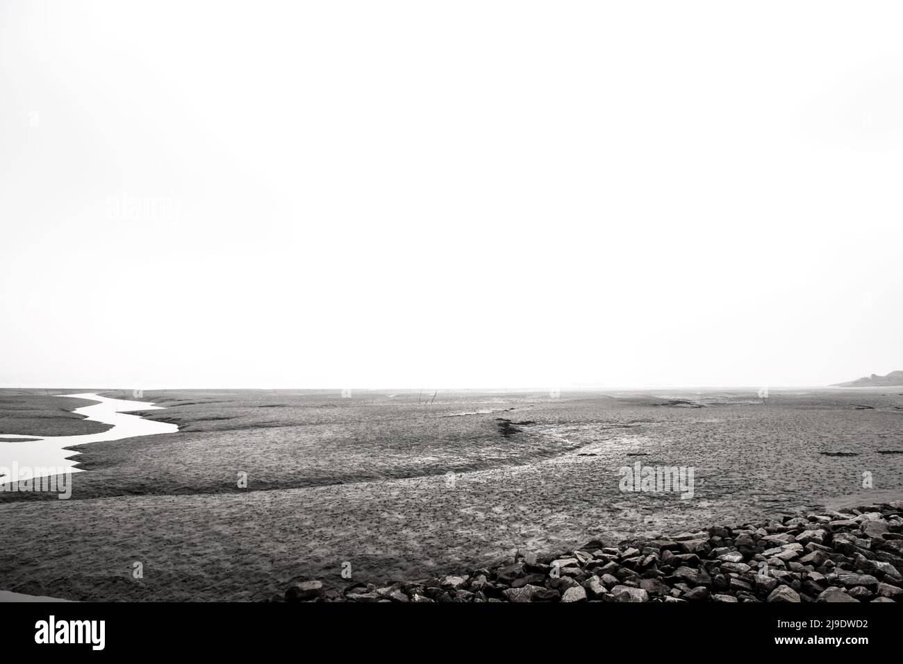 The beautiful and curious tidal mud flat Stock Photo - Alamy