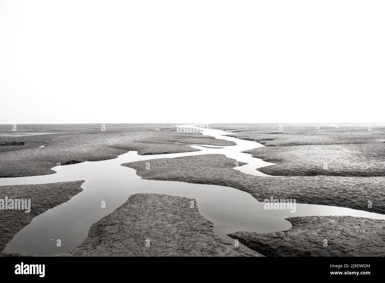 The beautiful and curious tidal mud flat Stock Photo - Alamy