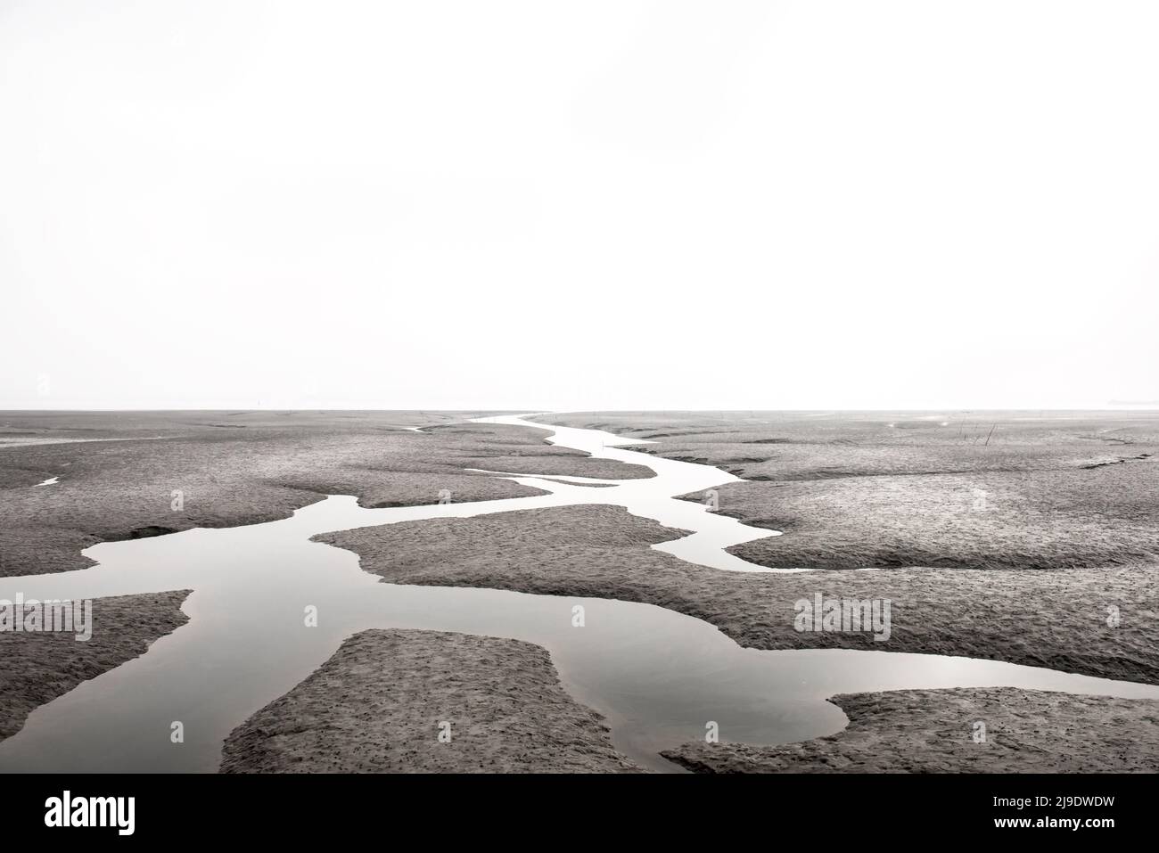 The beautiful and curious tidal mud flat Stock Photo - Alamy