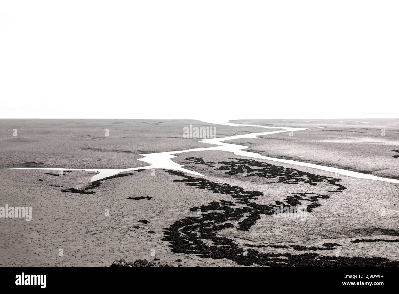 The beautiful and curious tidal mud flat Stock Photo - Alamy
