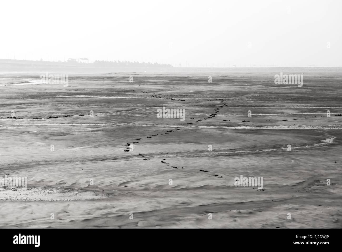 The beautiful and curious tidal mud flat Stock Photo - Alamy