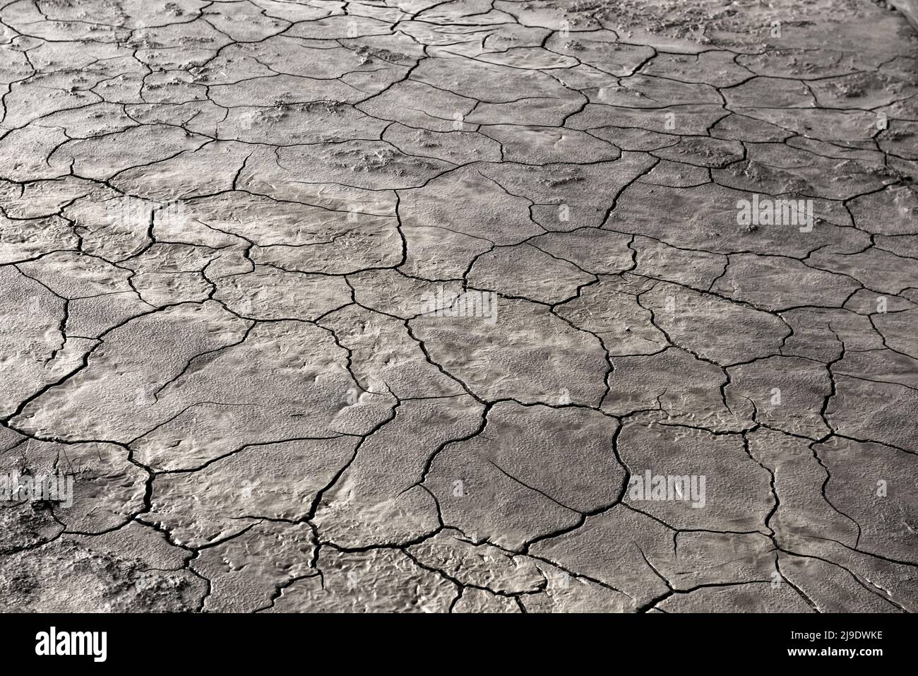 The beautiful and curious tidal mud flat Stock Photo - Alamy