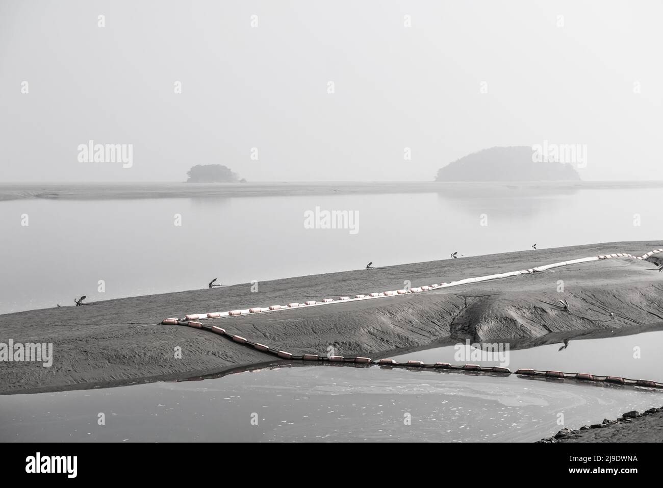 The beautiful and curious tidal mud flat Stock Photo - Alamy