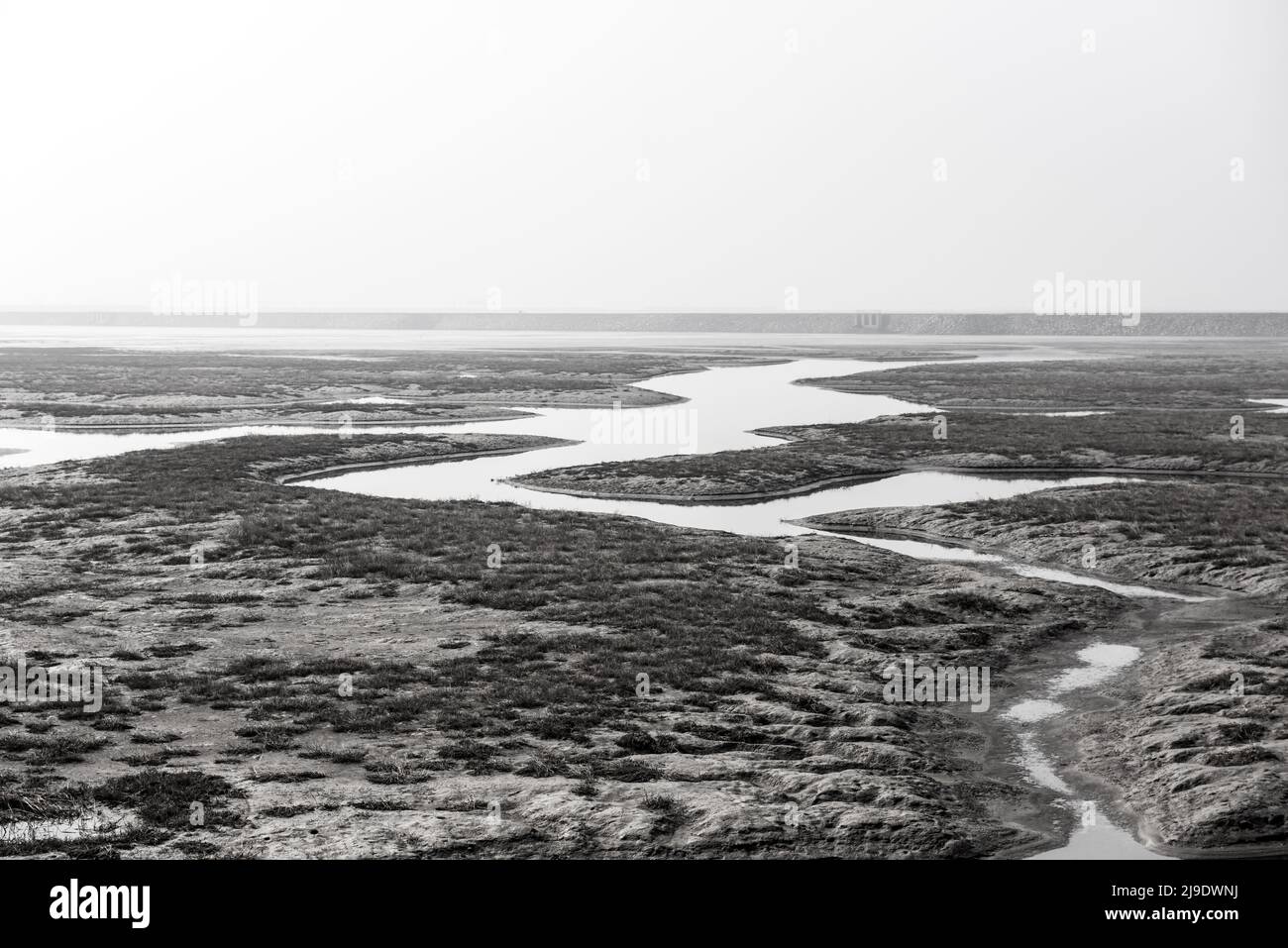 The beautiful and curious tidal mud flat Stock Photo - Alamy