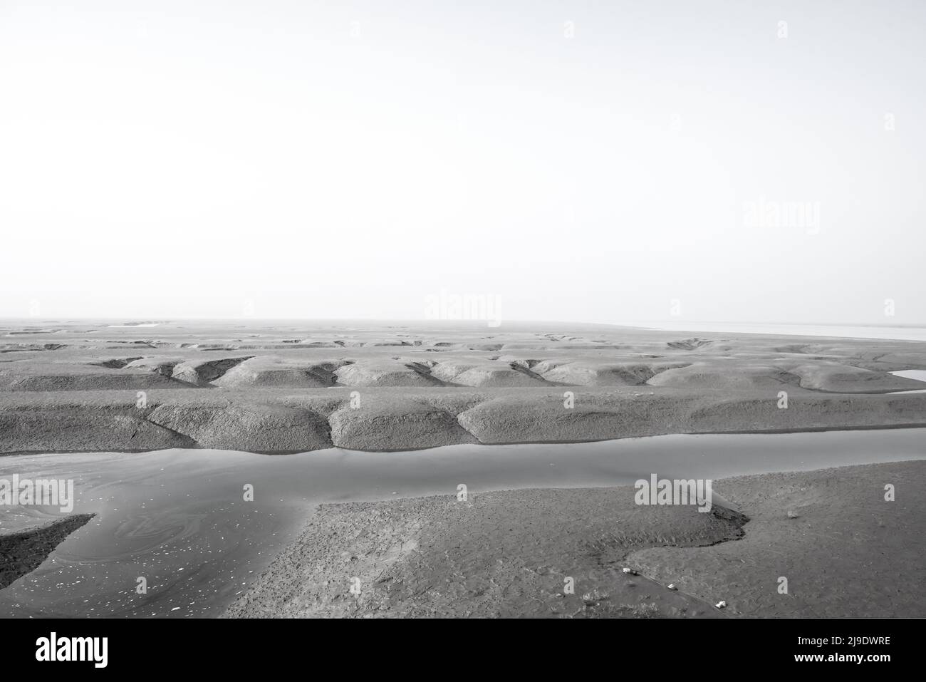 The beautiful and curious tidal mud flat Stock Photo - Alamy