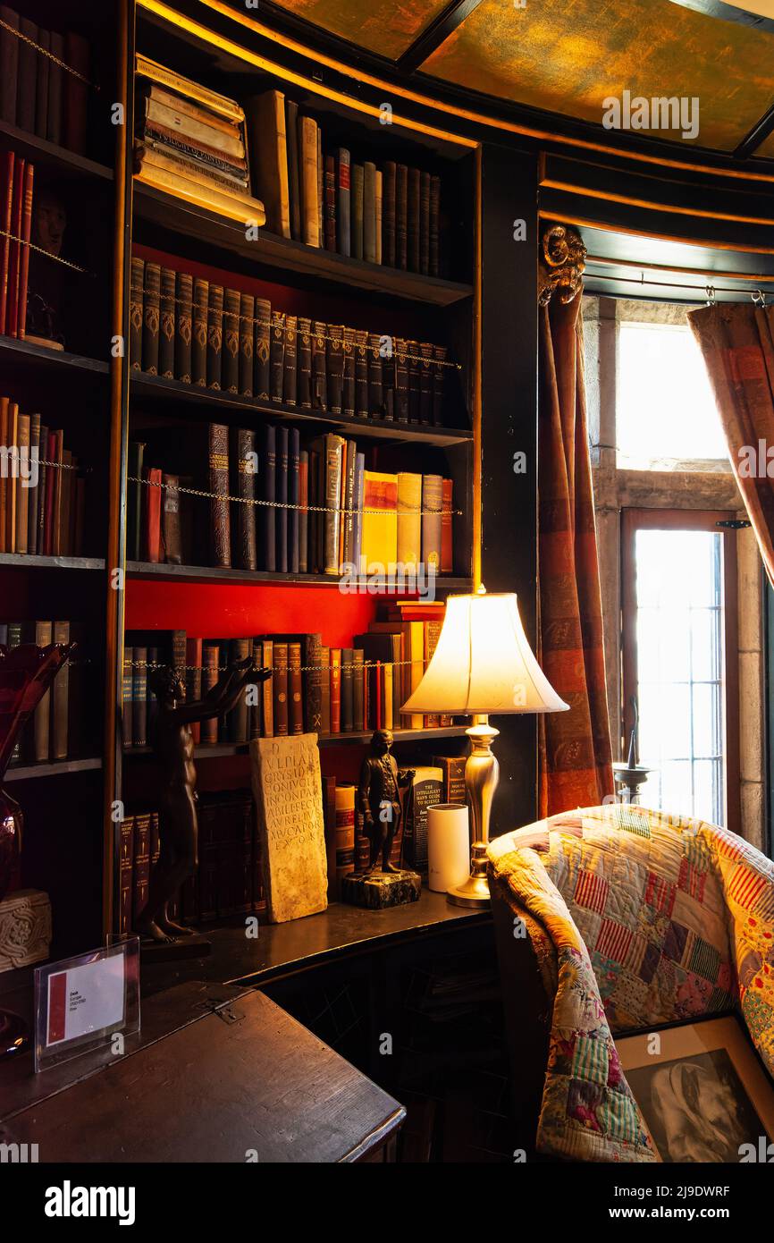 Medieval Castle Library