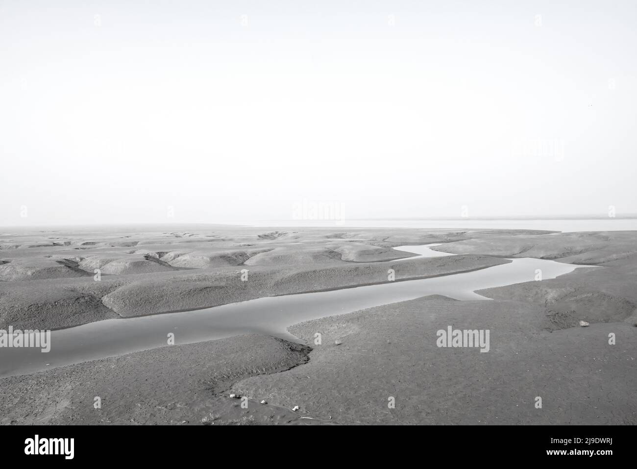 The beautiful and curious tidal mud flat Stock Photo - Alamy