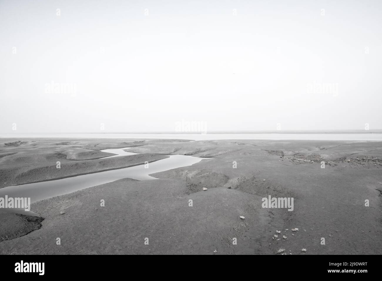 The beautiful and curious tidal mud flat Stock Photo - Alamy