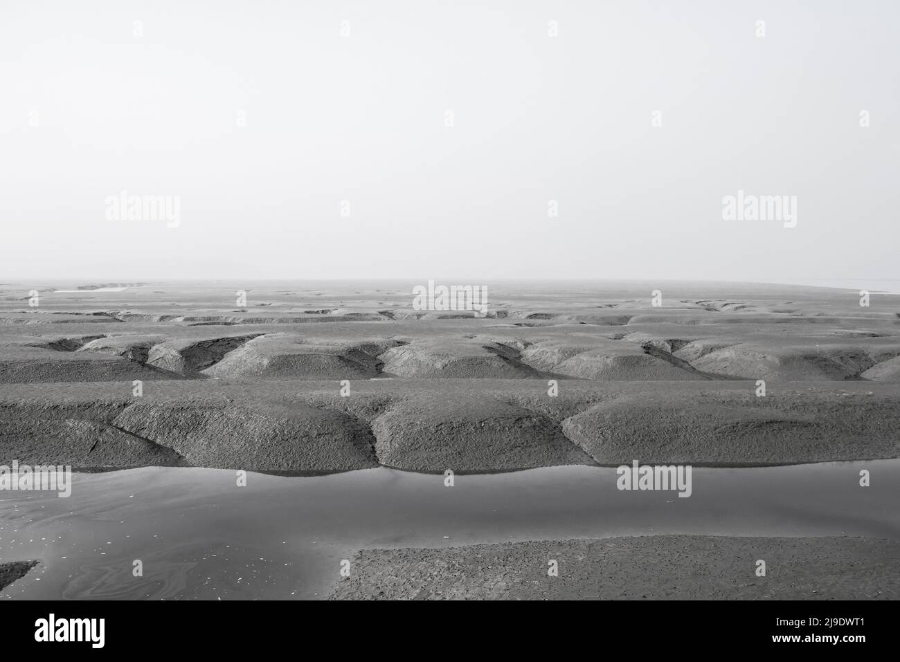 The beautiful and curious tidal mud flat Stock Photo - Alamy