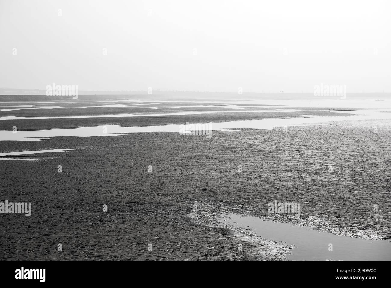 The beautiful and curious tidal mud flat Stock Photo - Alamy