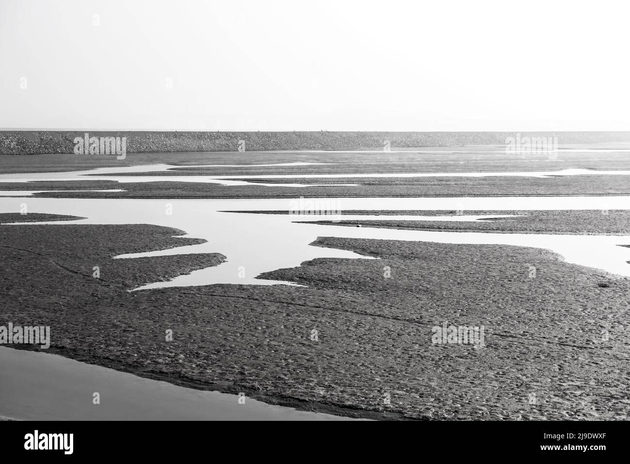 The beautiful and curious tidal mud flat Stock Photo - Alamy