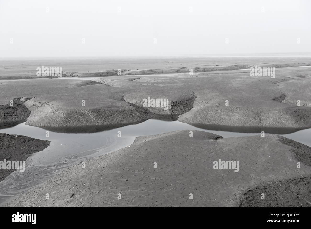 The beautiful and curious tidal mud flat Stock Photo - Alamy