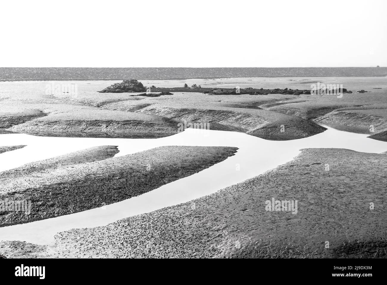 The beautiful and curious tidal mud flat Stock Photo - Alamy