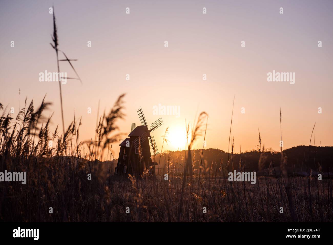 The beautiful landscape of windmill town in the early morning at dawn ...