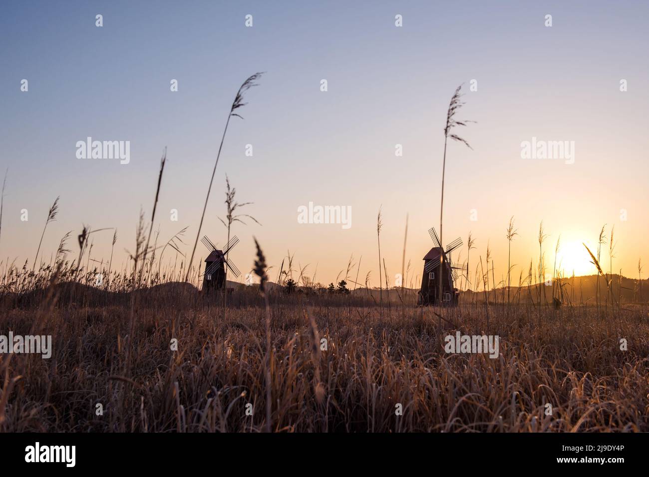 The beautiful landscape of windmill town in the early morning at dawn ...