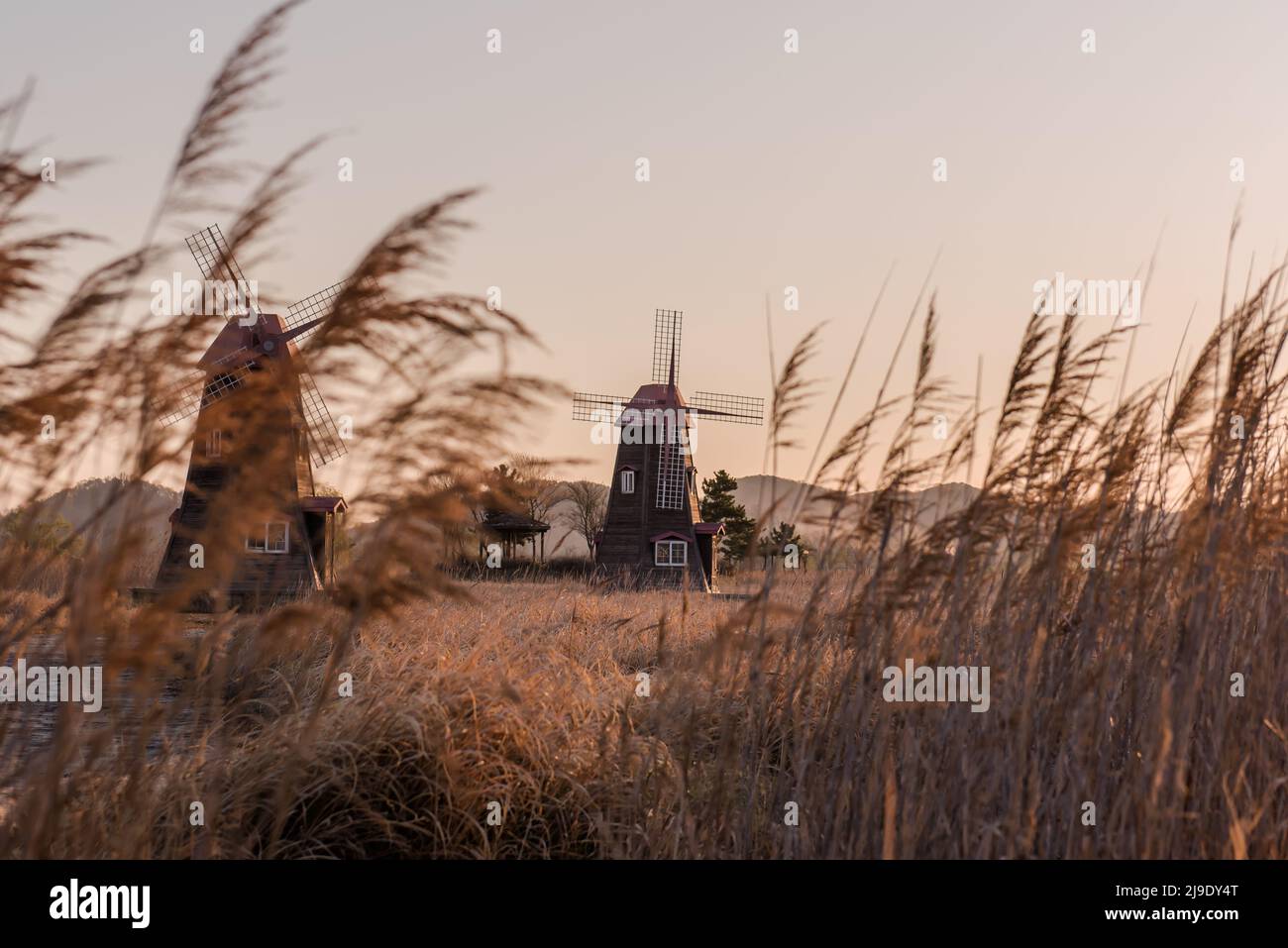 The beautiful landscape of windmill town in the early morning at dawn ...