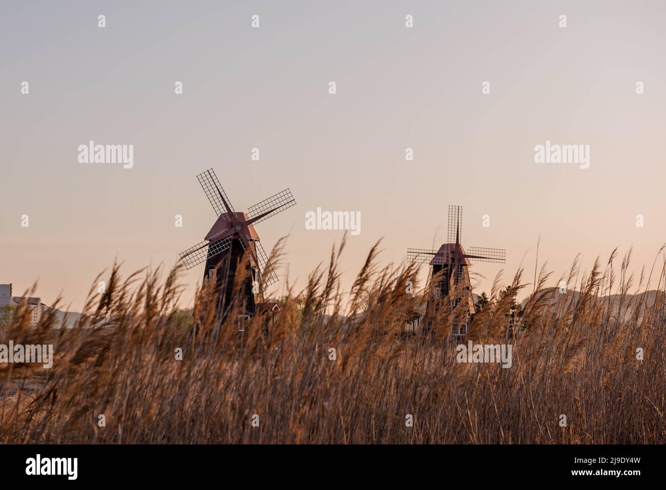 The beautiful landscape of windmill town in the early morning at dawn ...