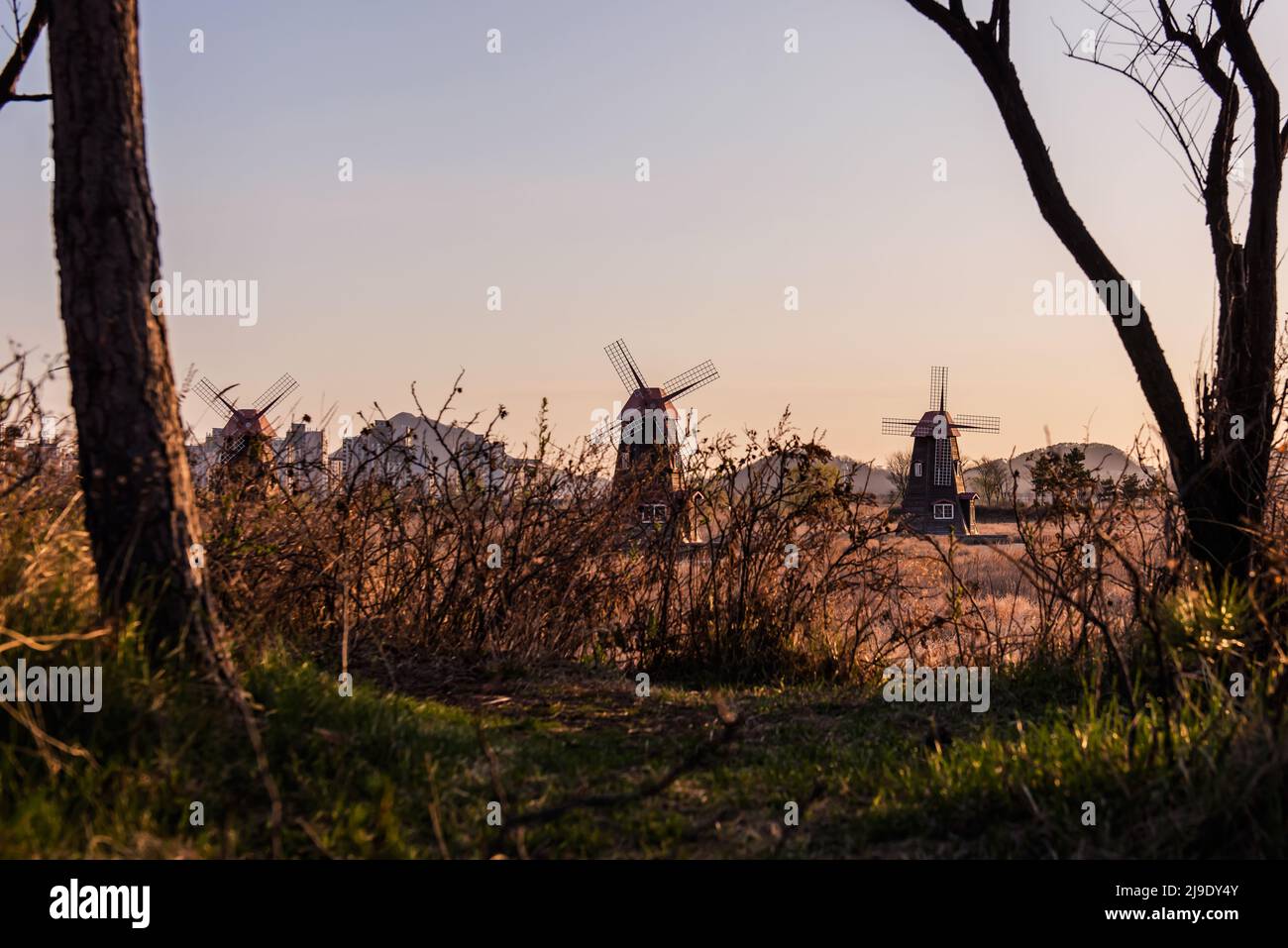 The beautiful landscape of windmill town in the early morning at dawn ...