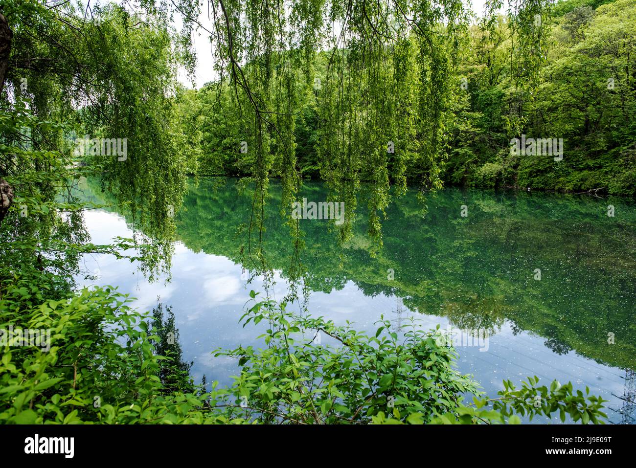 The beautiful land scape of river anf forest in spring time Stock Photo ...