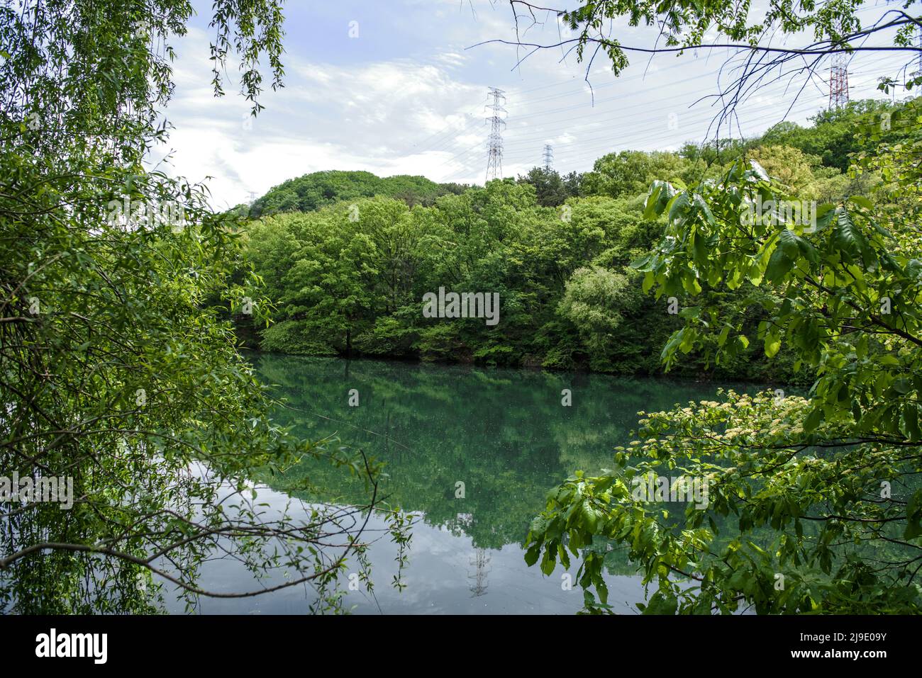 The beautiful land scape of river anf forest in spring time Stock Photo ...