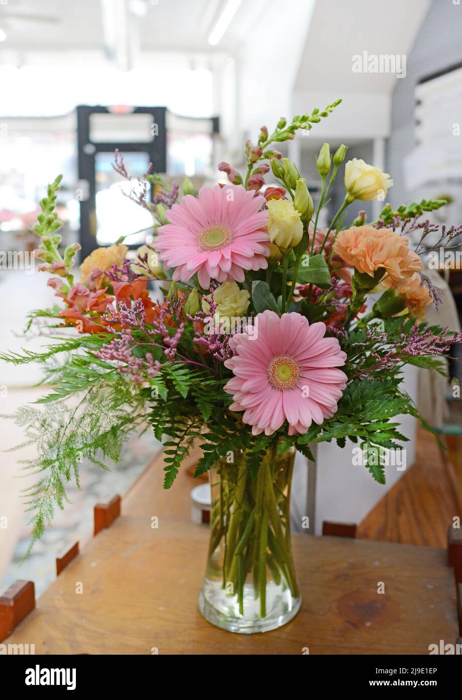 Pink gerbera daisies hi-res stock photography and images - Alamy