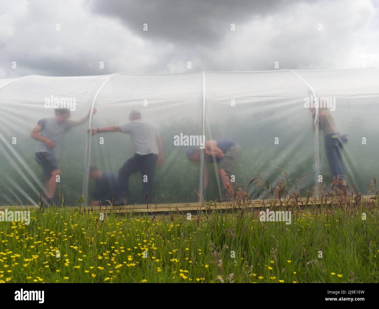 Volunteer members of a Community Supported Agriculture (CSA) project ...