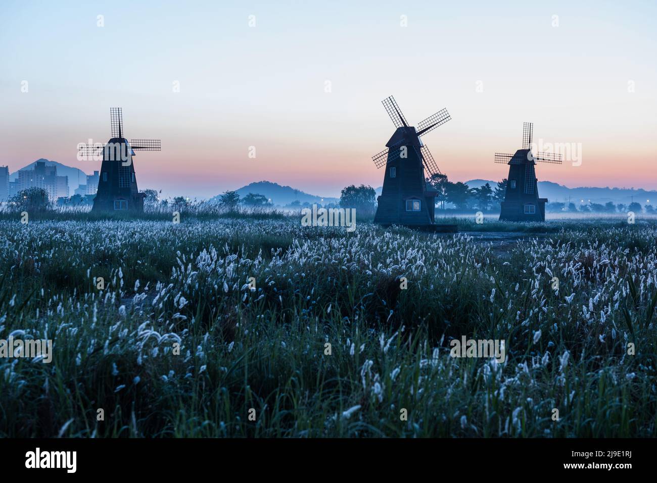 The beautiful landscape of fogy windmill town in the early morning at ...