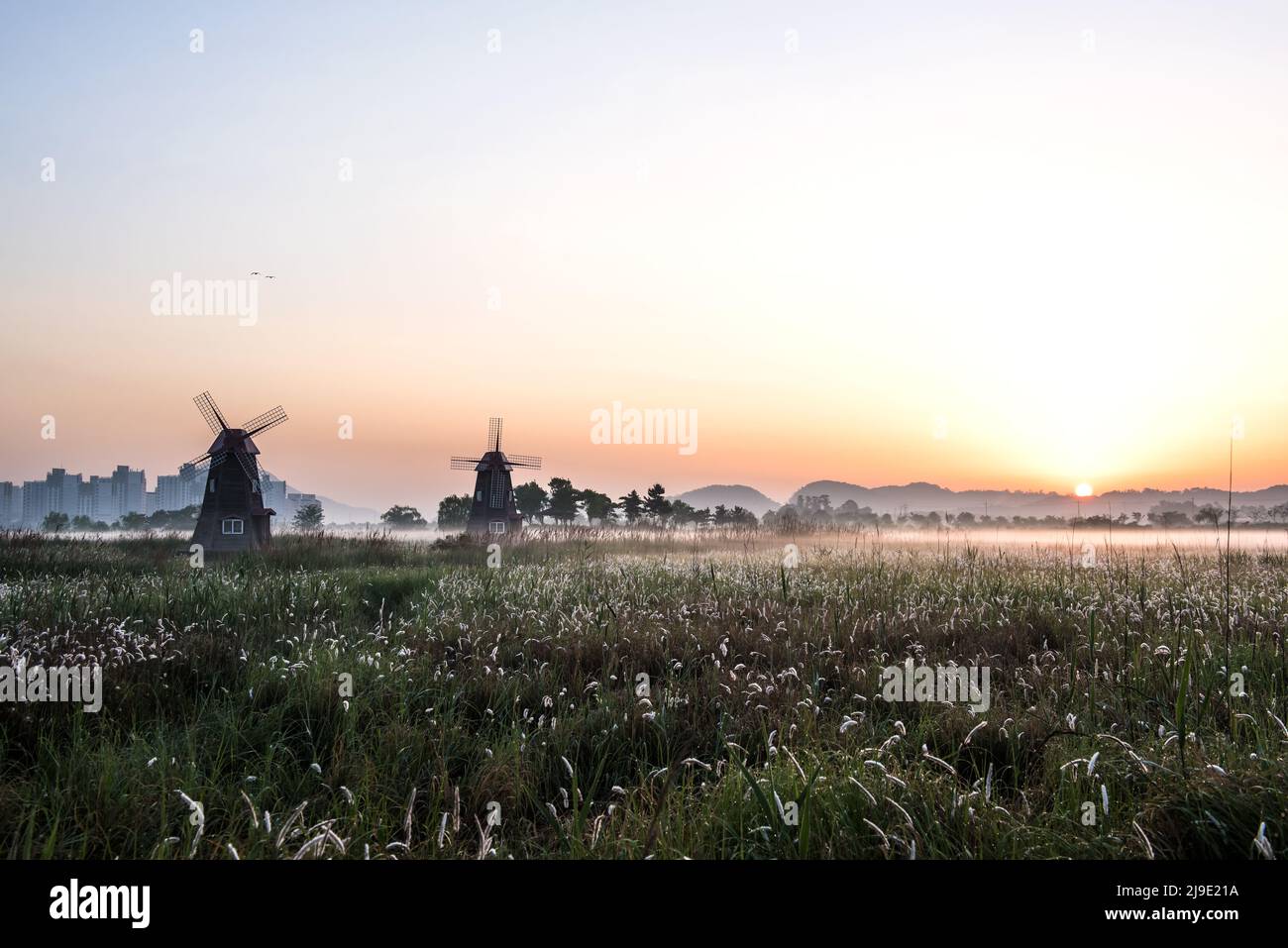 The beautiful landscape of fogy windmill town in the early morning at ...